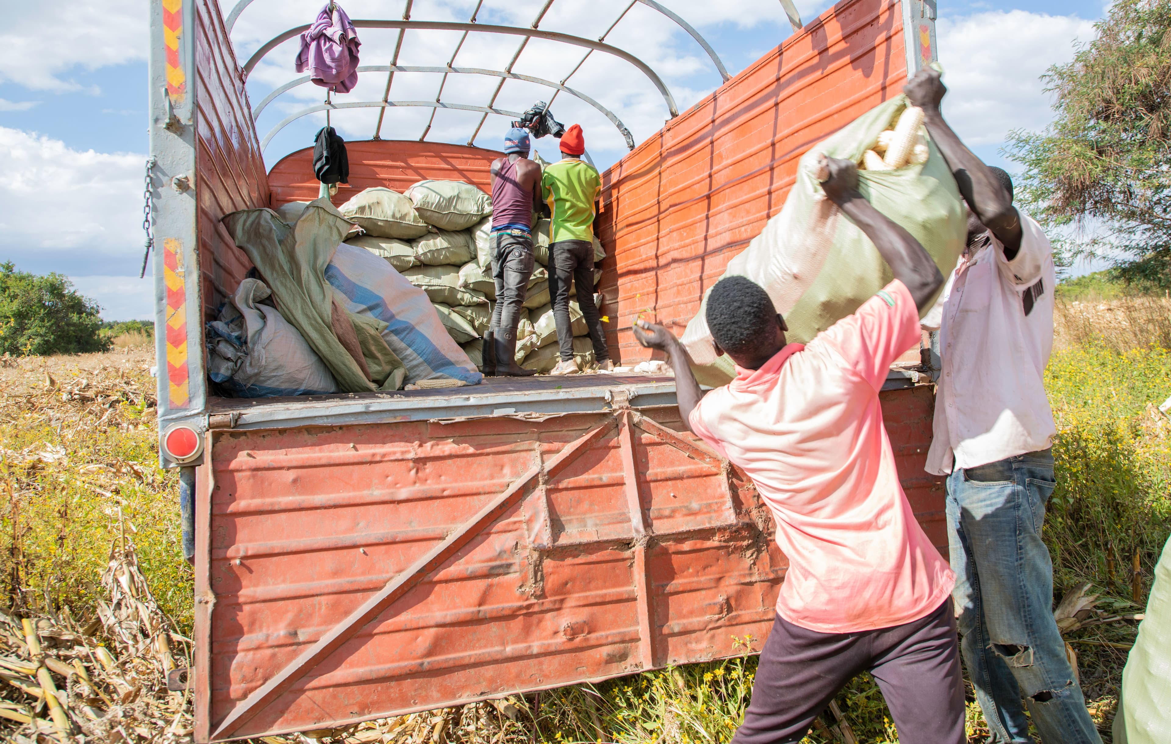AFEX | Tackling Food Waste in Africa - We Need to Make Haste
